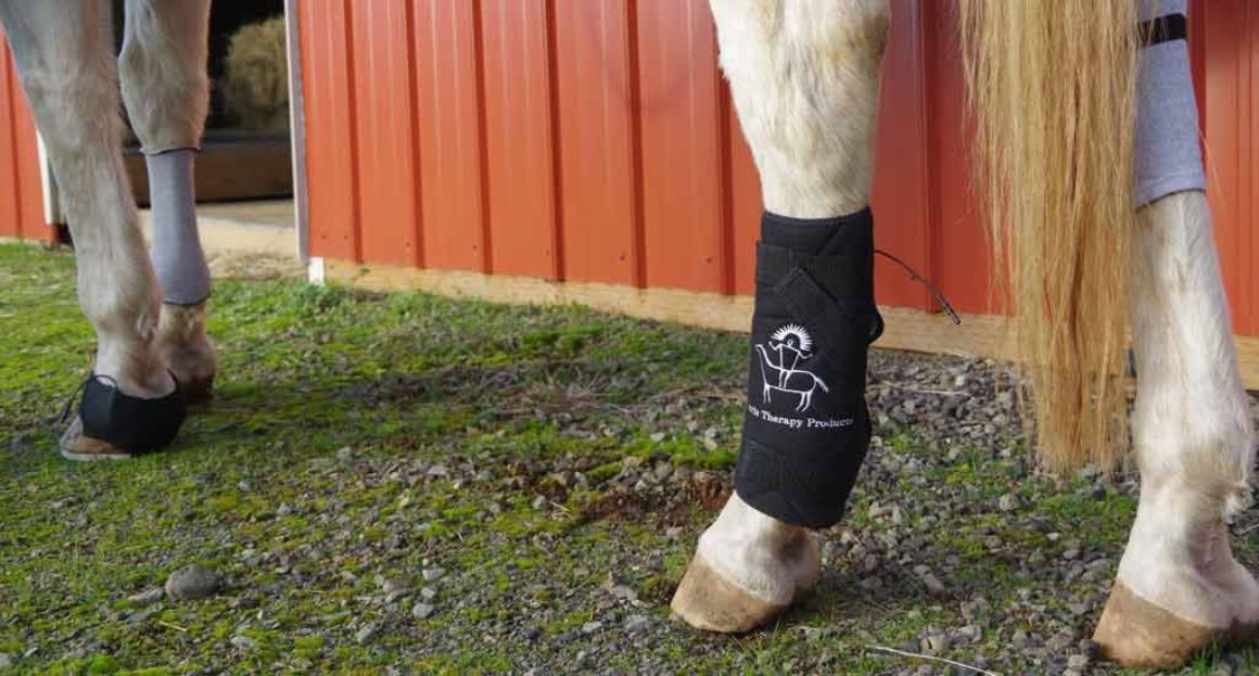 Microcurrent Therapy for Equines • Matrix Therapy Products